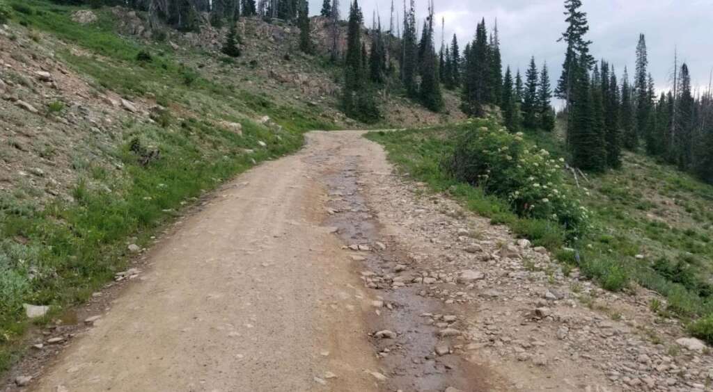 Road improvements could change dynamic of camping on Buff Pass ...
