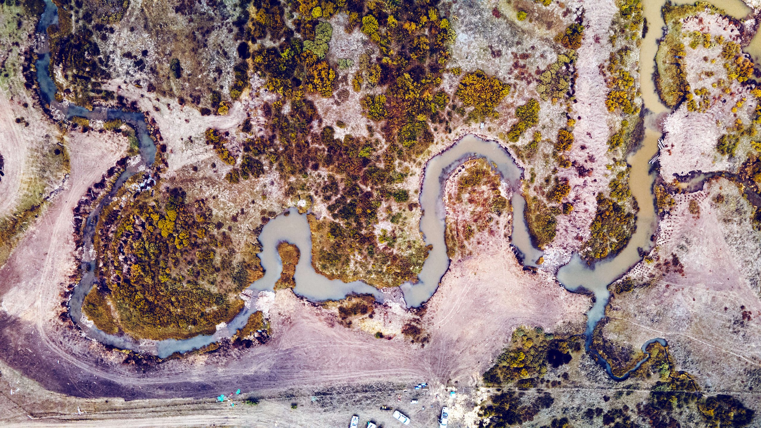 Forest Service project reconnects creek and its floodplain in native ...