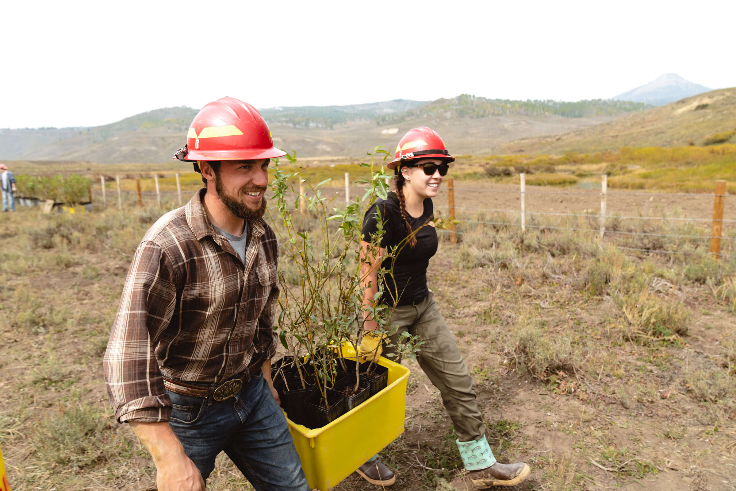 Forest Service project reconnects creek and its floodplain in native ...
