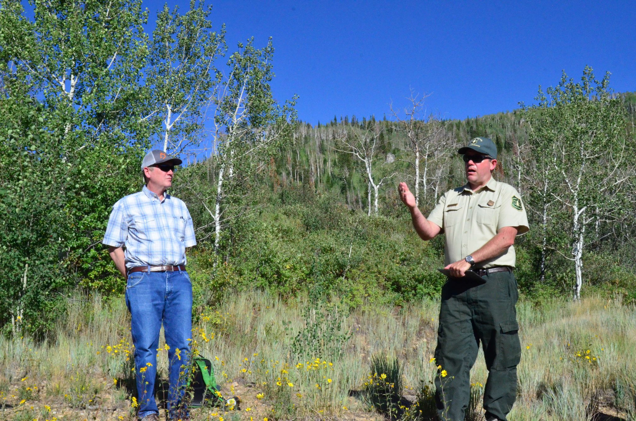 Medicine Bow-Routt Forest supervisor retires | SteamboatToday.com