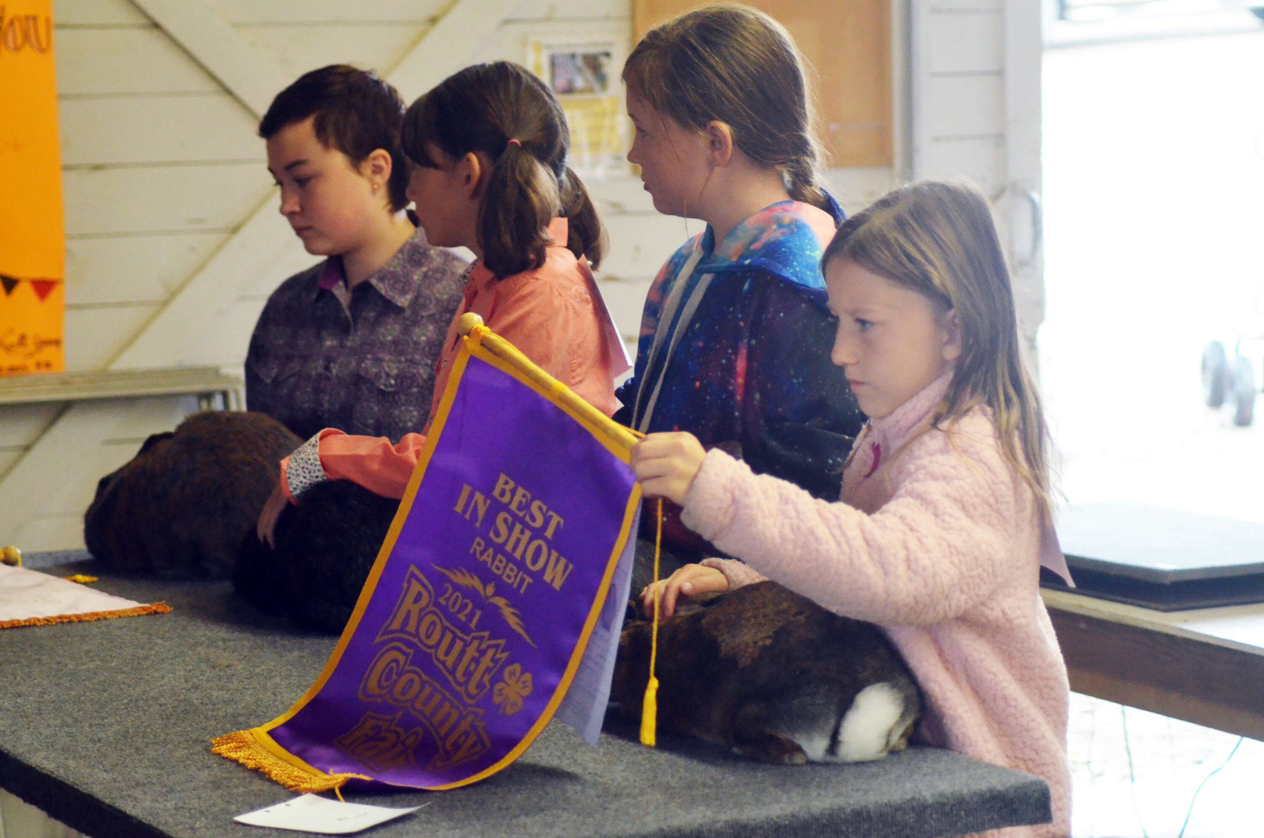‘Golden Nugget,’ 4-H newcomer take best in rabbit show | SteamboatToday.com