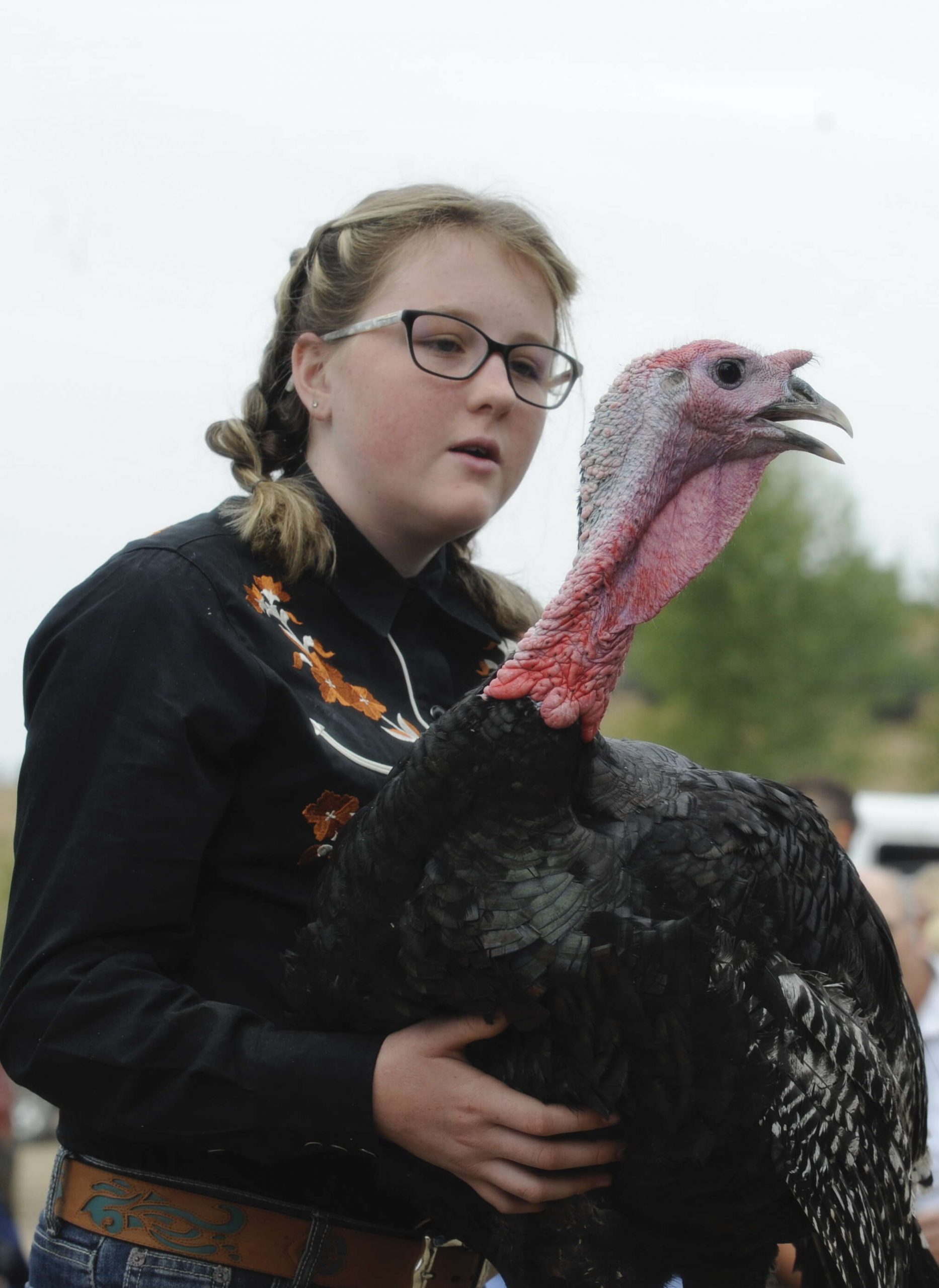 The bird whisperer: Turkey handlers win big at poultry show ...
