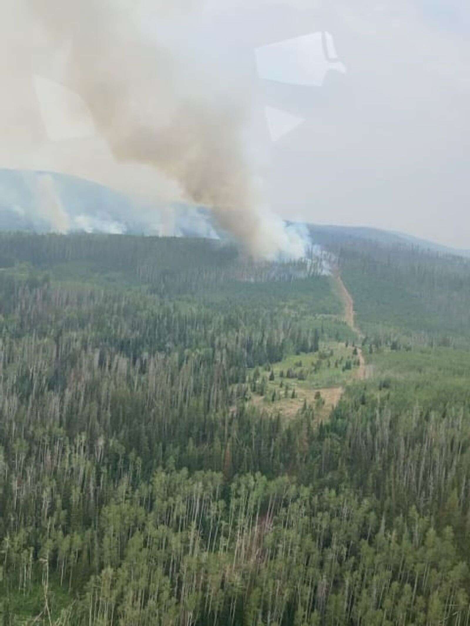 Morgan Creek Fire sees first containment over weekend, now at 7% ...