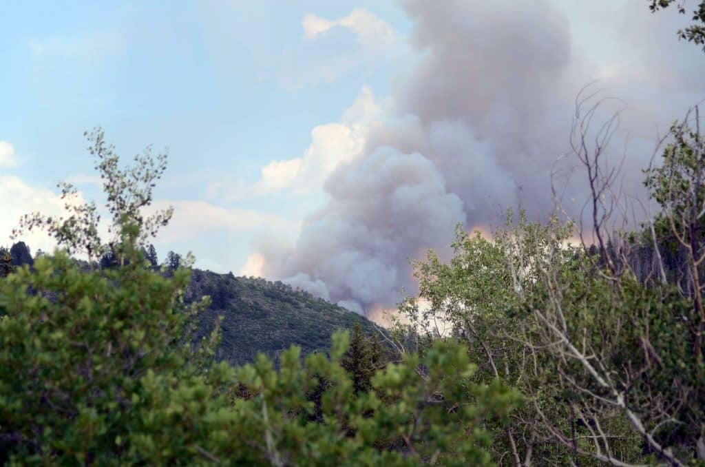 LIVE UPDATES: Morgan Creek Fire in North Routt now over 100 acres (with ...