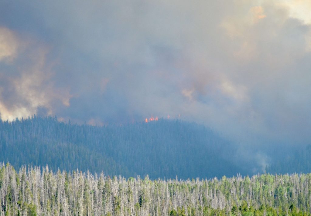 LIVE UPDATES: Muddy Slide Fire in South Routt holding at over 4K acres ...
