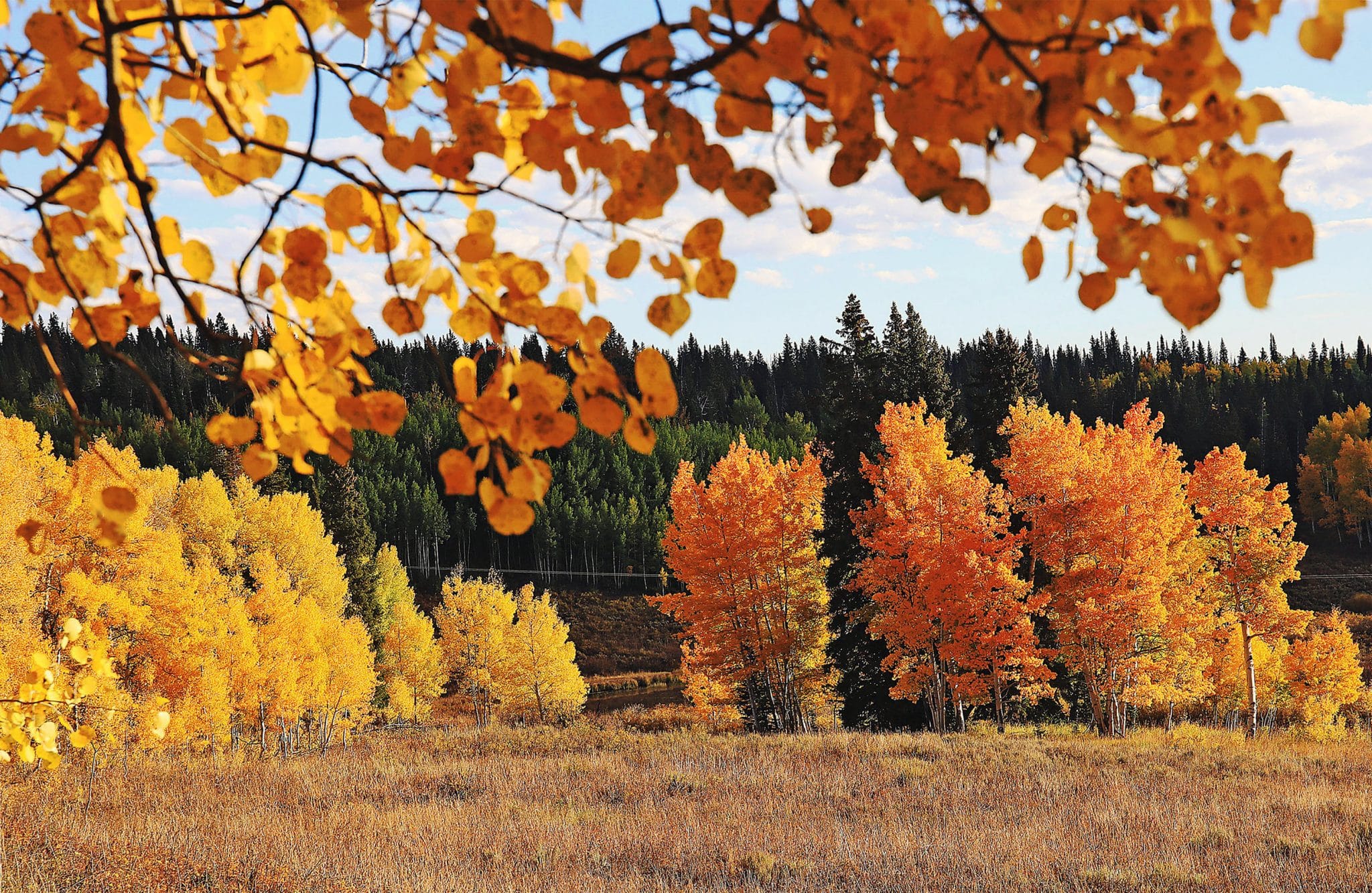 PHOTOS: Fall foliage adorns Rabbit Ears Pass with shades of autumn ...