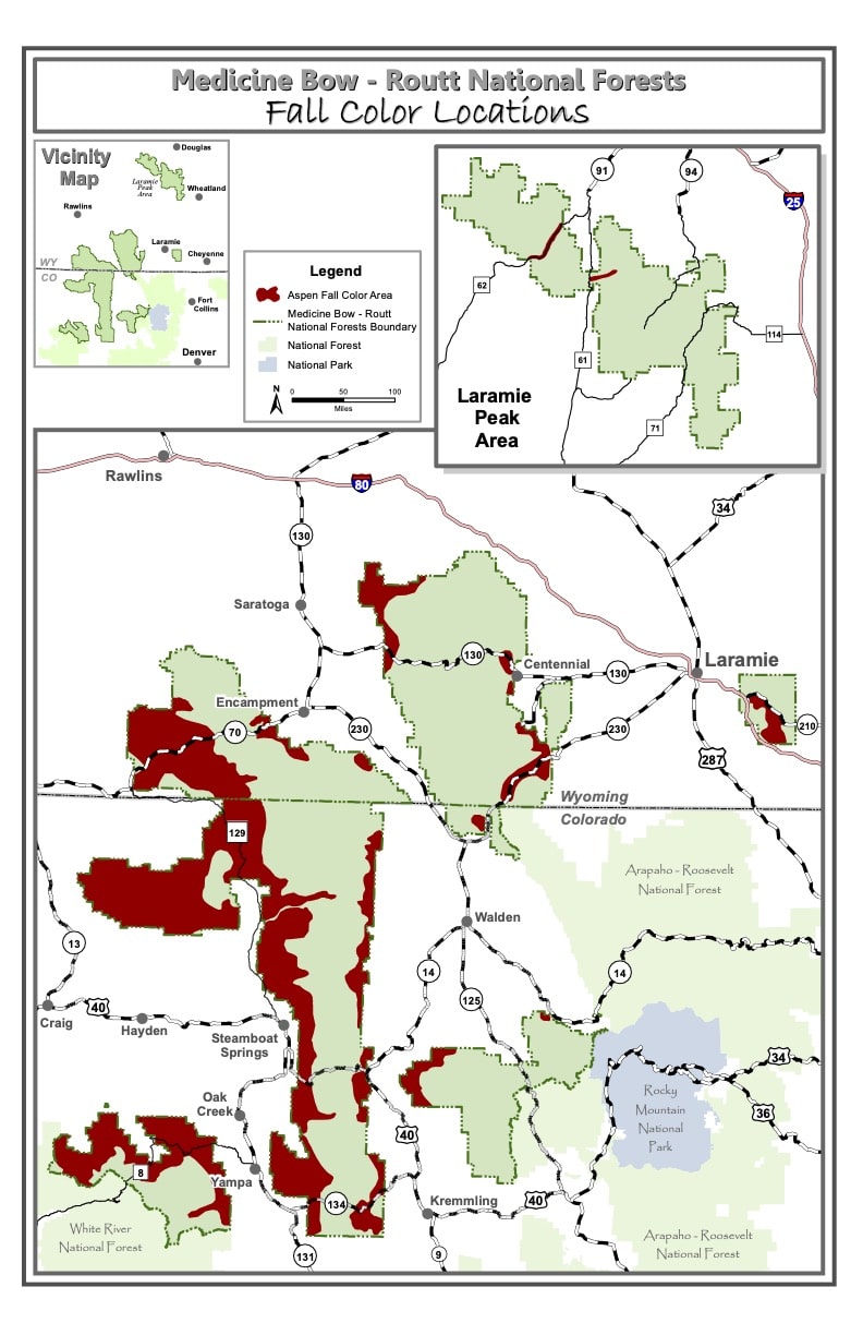 2022 fall foliage forecast: How will the wet summer affect the changing ...