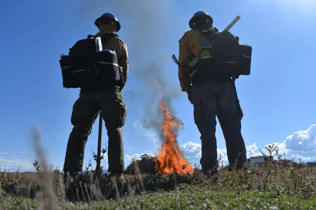 European fire suppressant tested stateside for first time ever at Rifle ...