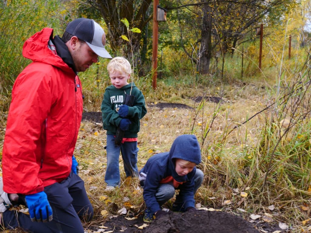 ‘This is my favorite thing’: ReTree event gets people, saplings in the ...