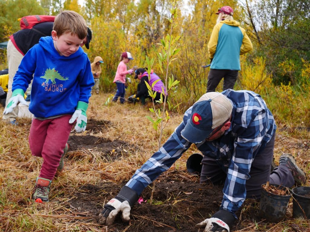 ‘This is my favorite thing’: ReTree event gets people, saplings in the ...