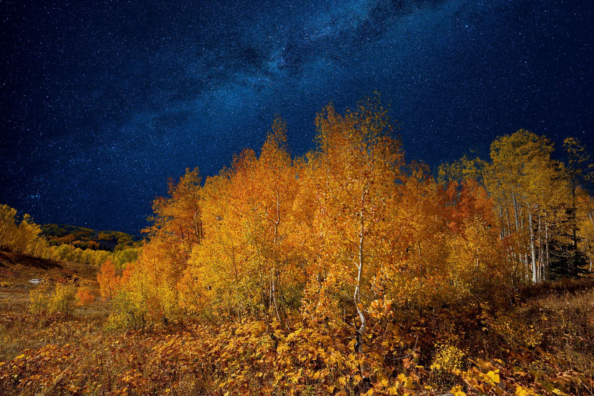 PHOTOS: SteamboatSnaps Fall Foliage contest winner announced ...
