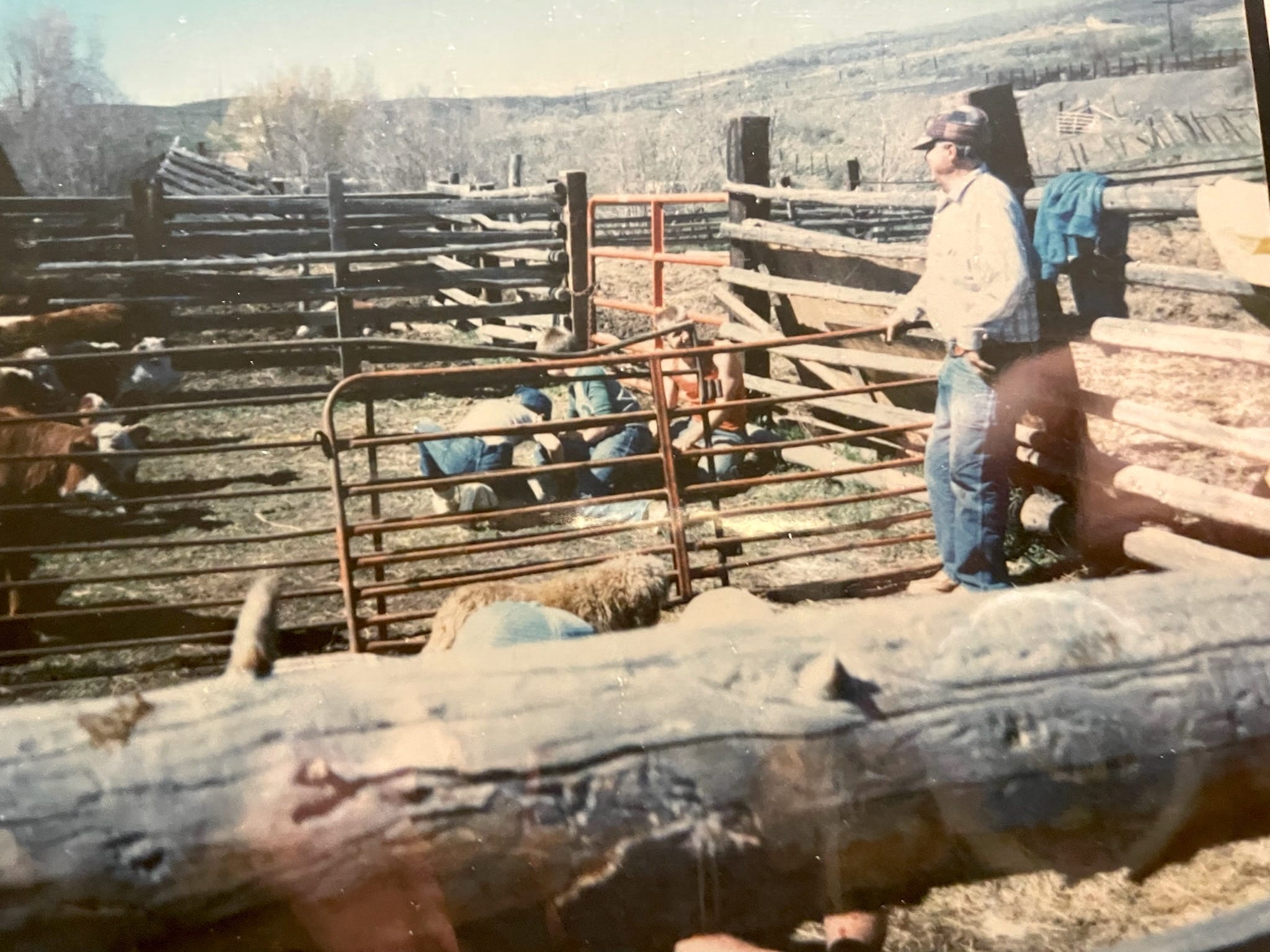 South Routt’s Gregory Ranch protected from development with PDR ...