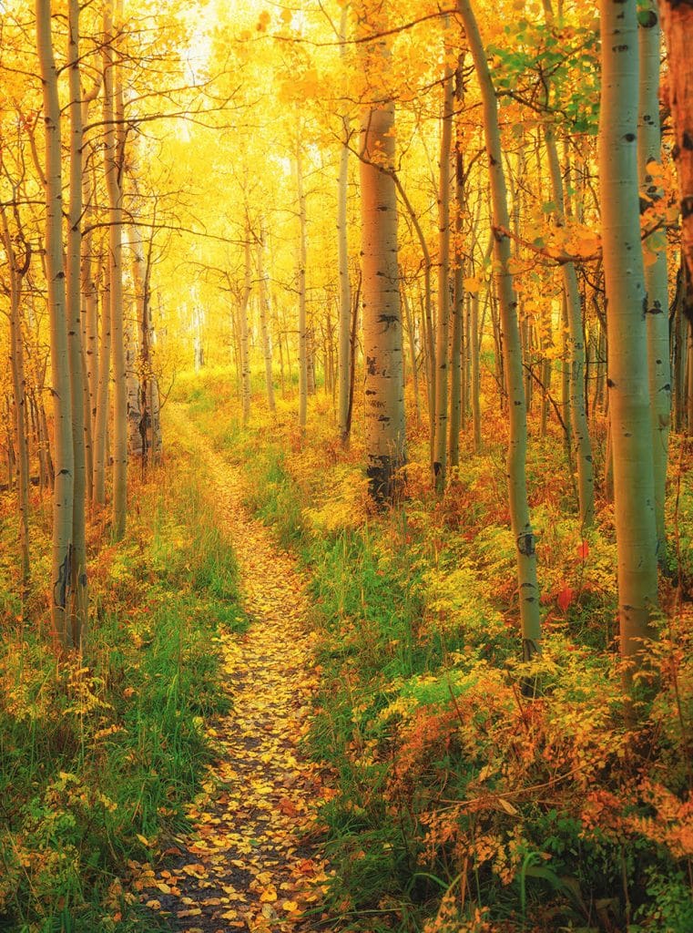 Steamboat photographer retires, leaving a legacy in images ...