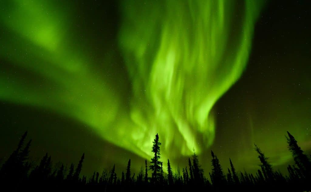 Steamboat galleries celebrate winter, debut epic moose photo at First ...