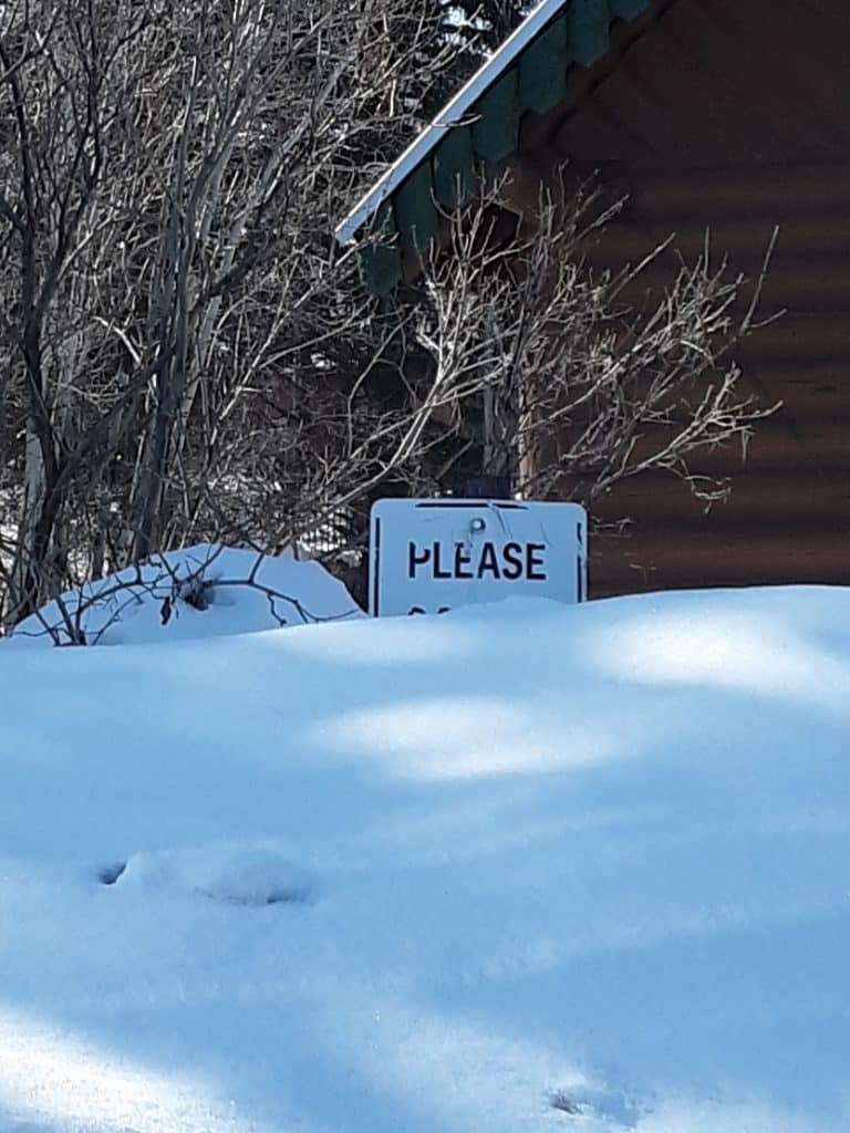 Share: Reader photos | SteamboatToday.com