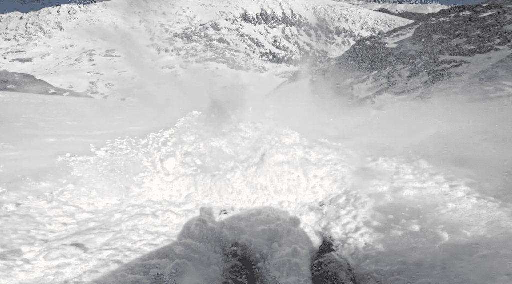 The Avalanches Youtube