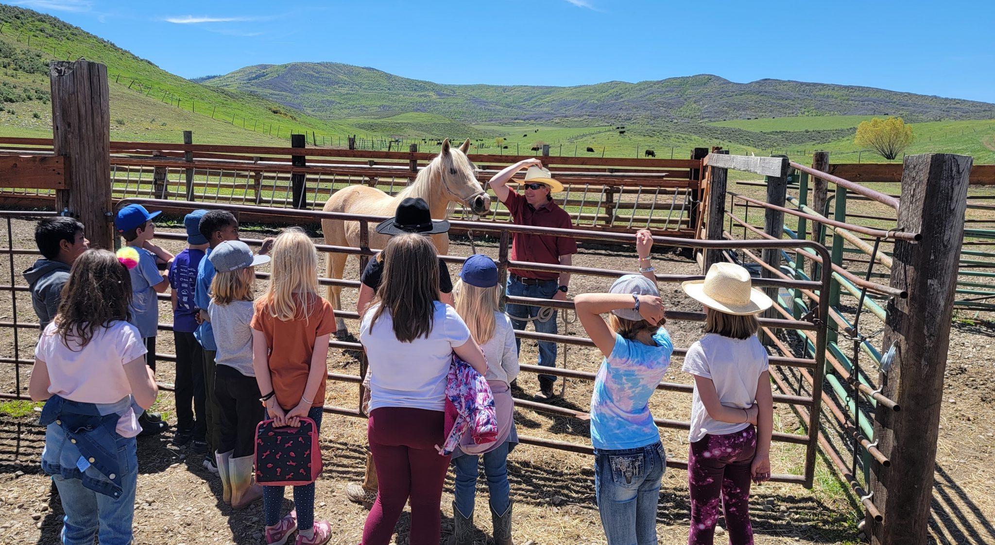 Nonprofit hosts ranch tours in July, August | SteamboatToday.com