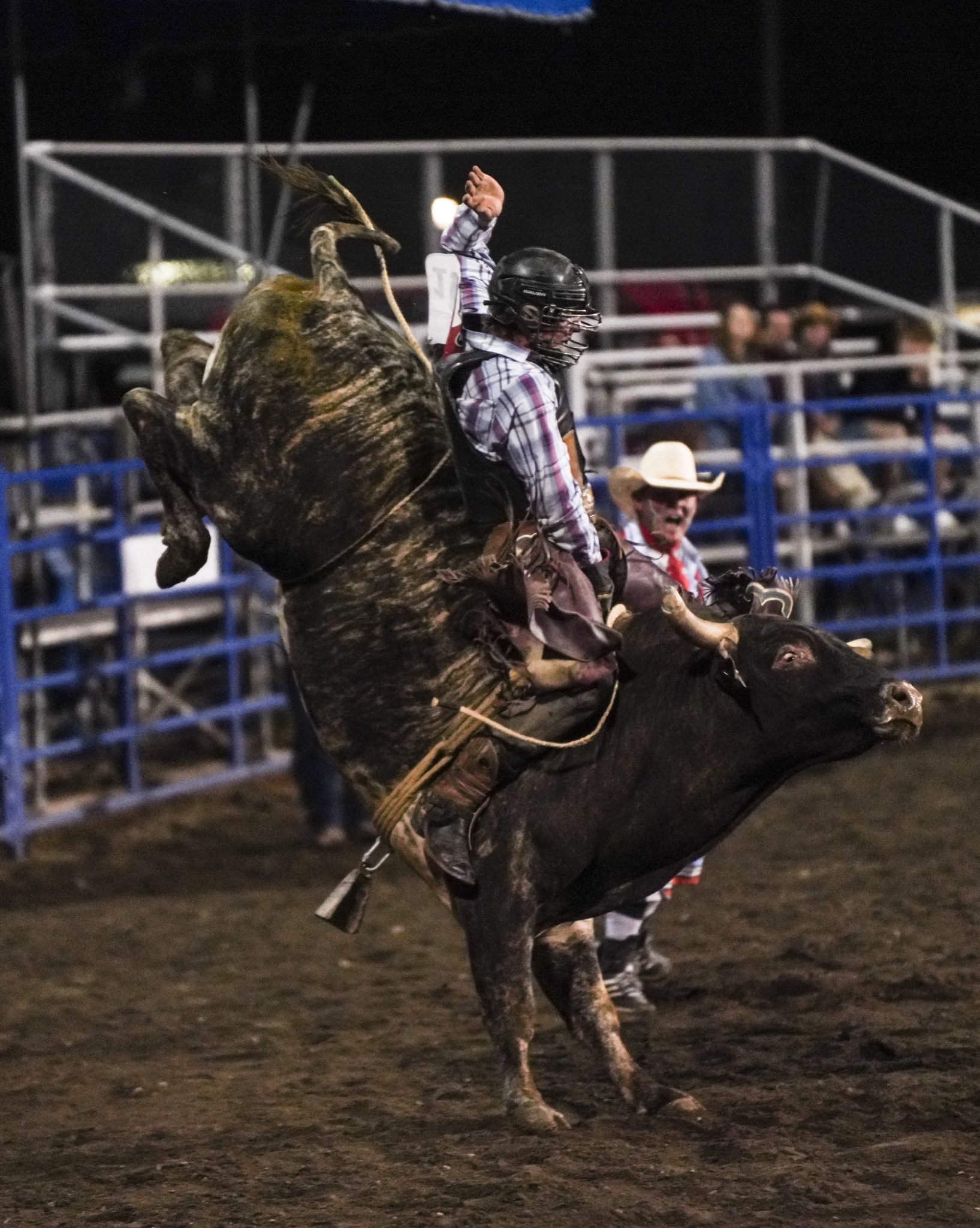 Photos: Steamboat Springs Pro Rodeo brings the bucks | SteamboatToday.com
