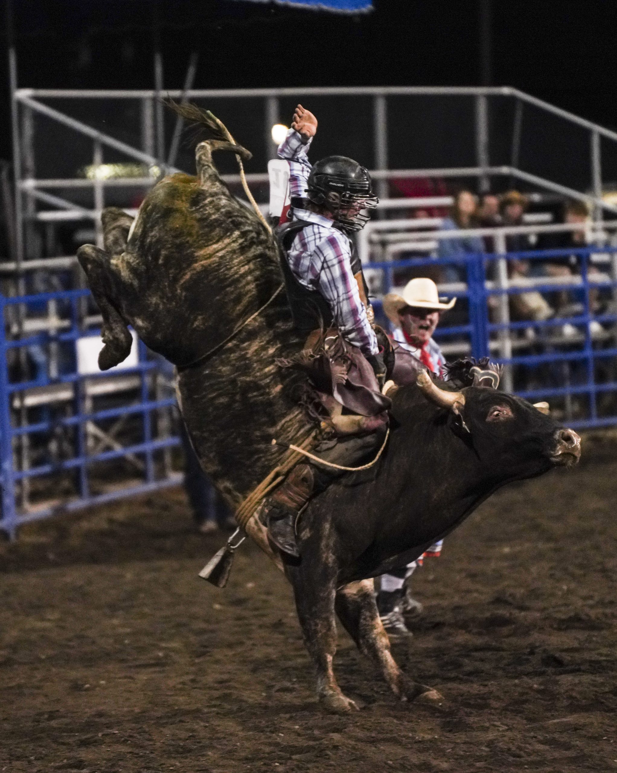 Photos: Steamboat Springs Pro Rodeo brings the bucks | SteamboatToday.com