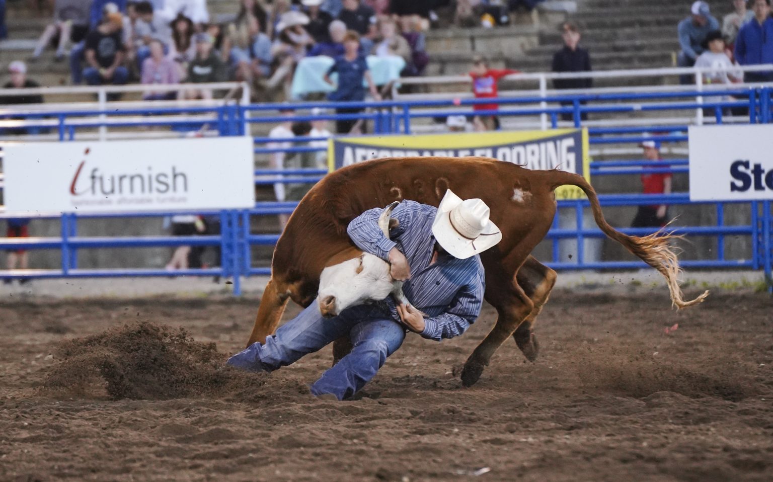 Photos: Steamboat Springs Pro Rodeo brings the bucks | SteamboatToday.com