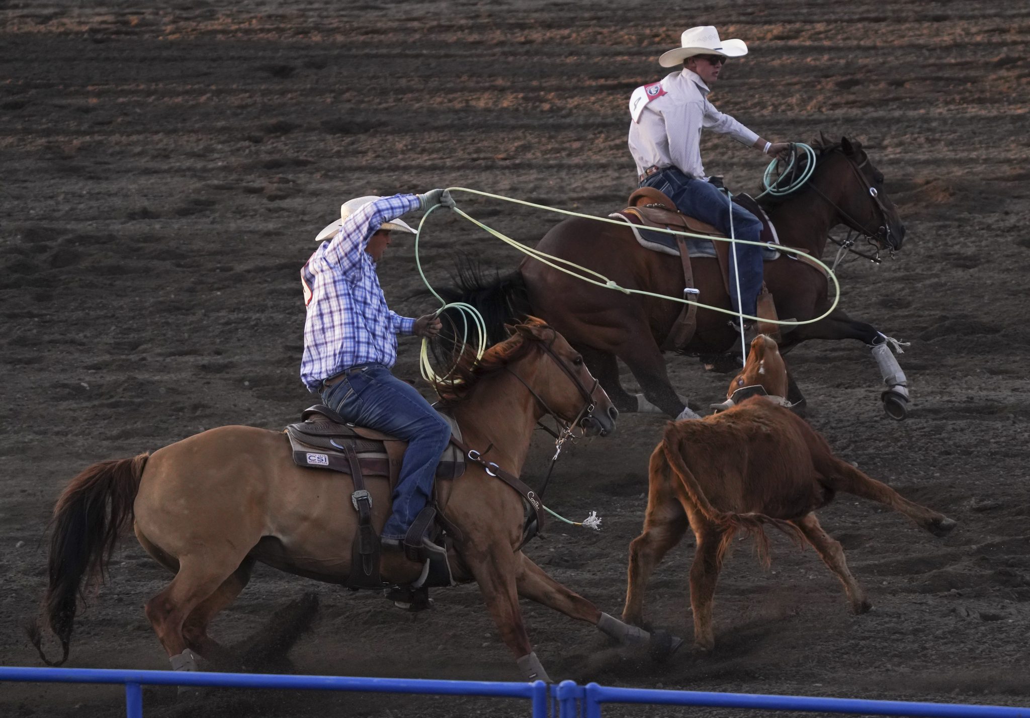 Photos: Steamboat Springs Pro Rodeo brings the bucks | SteamboatToday.com