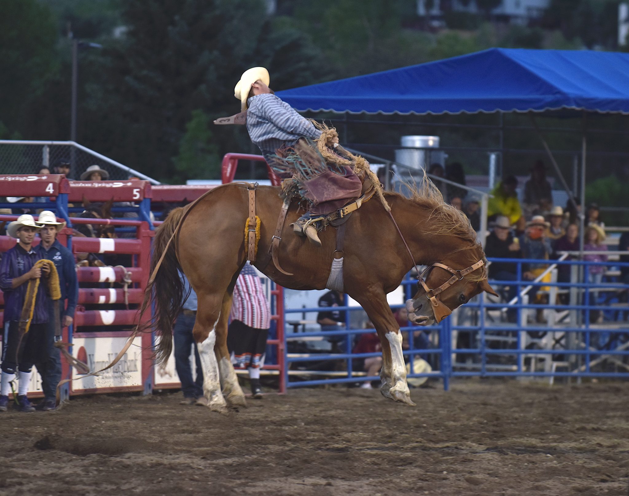Photos: Steamboat Springs Pro Rodeo brings the bucks | SteamboatToday.com