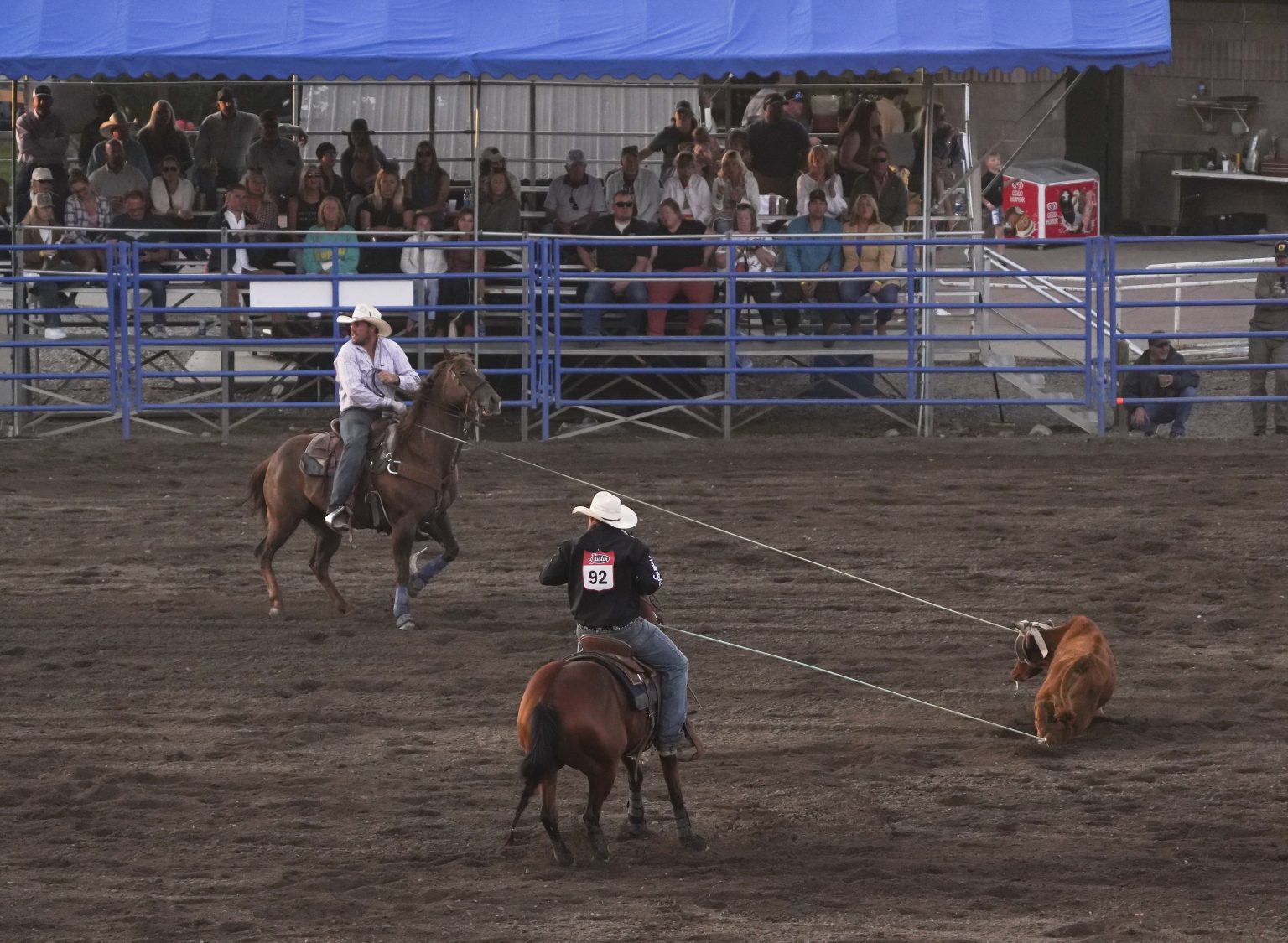 Photos: Steamboat Springs Pro Rodeo brings the bucks | SteamboatToday.com
