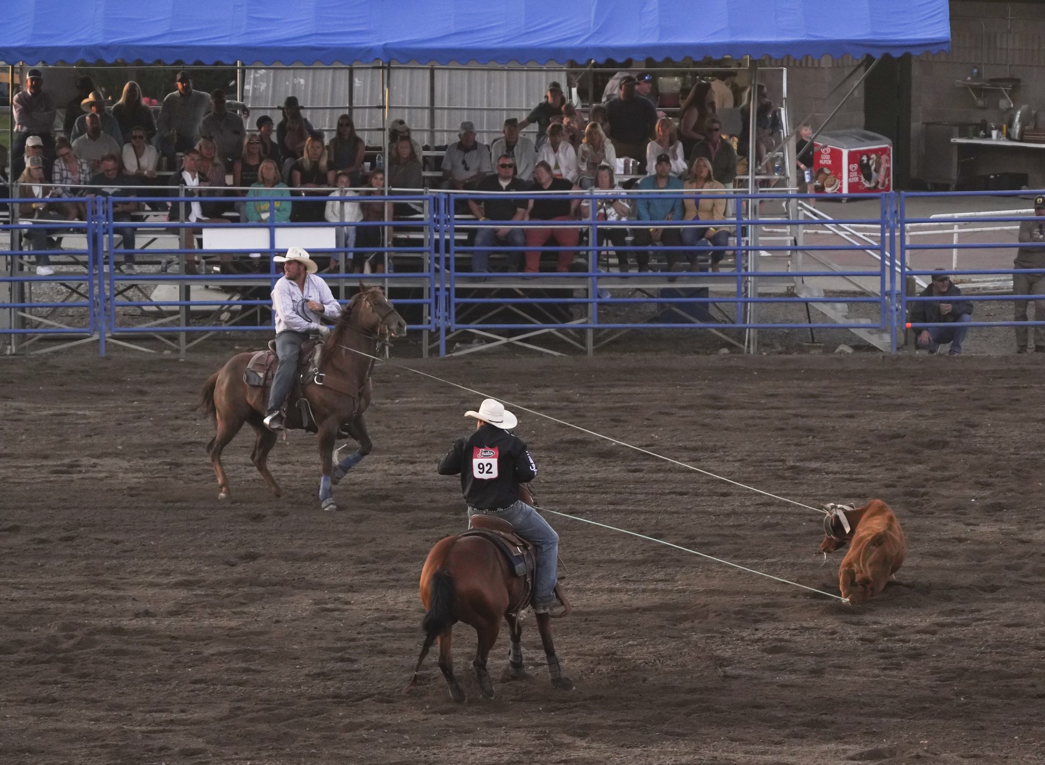 Photos: Steamboat Springs Pro Rodeo brings the bucks | SteamboatToday.com