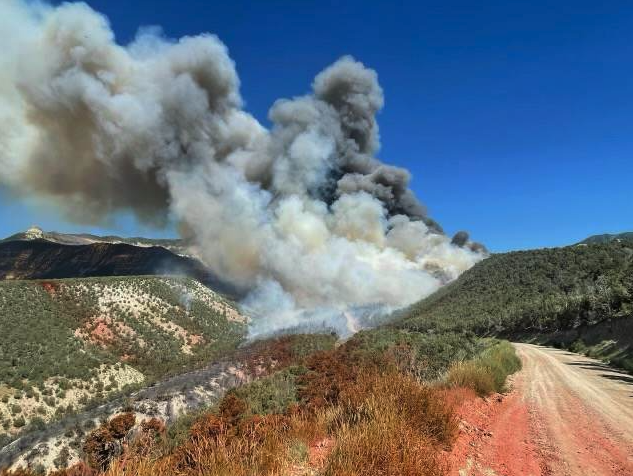 PHOTOS: Spring Creek Fire from up close and afar | SteamboatToday.com