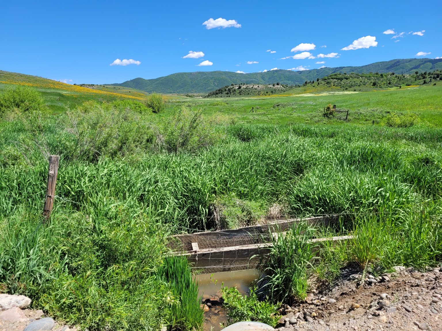 Steamboat reveals plans to buy 187 acres adjacent to Brown Ranch | SteamboatToday.com