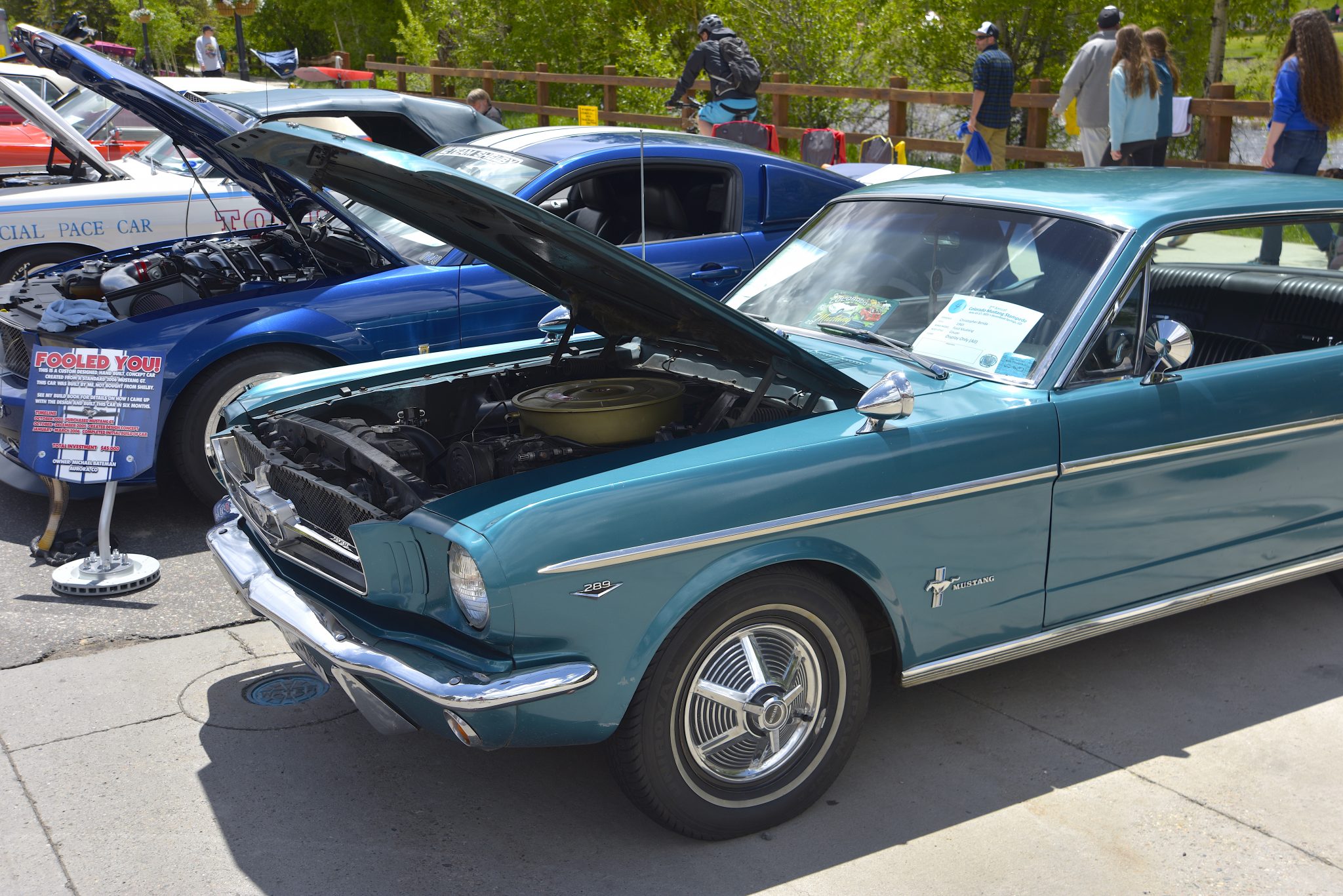 Photos: American muscle, collectors’ care on display at Mustang ...