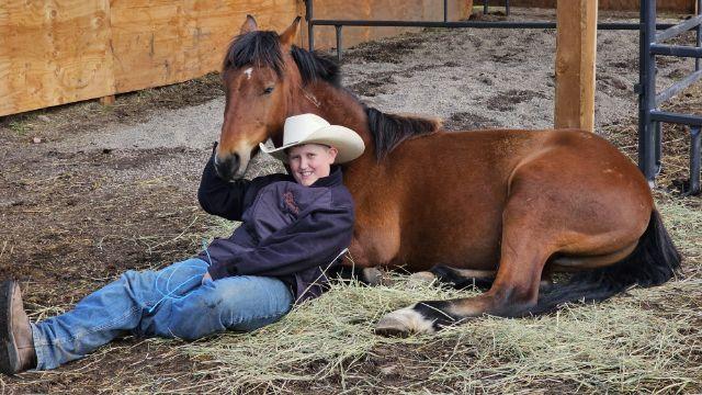 From wild to trained: Meeker Mustang Makeover shows how much can happen in 120 days ...