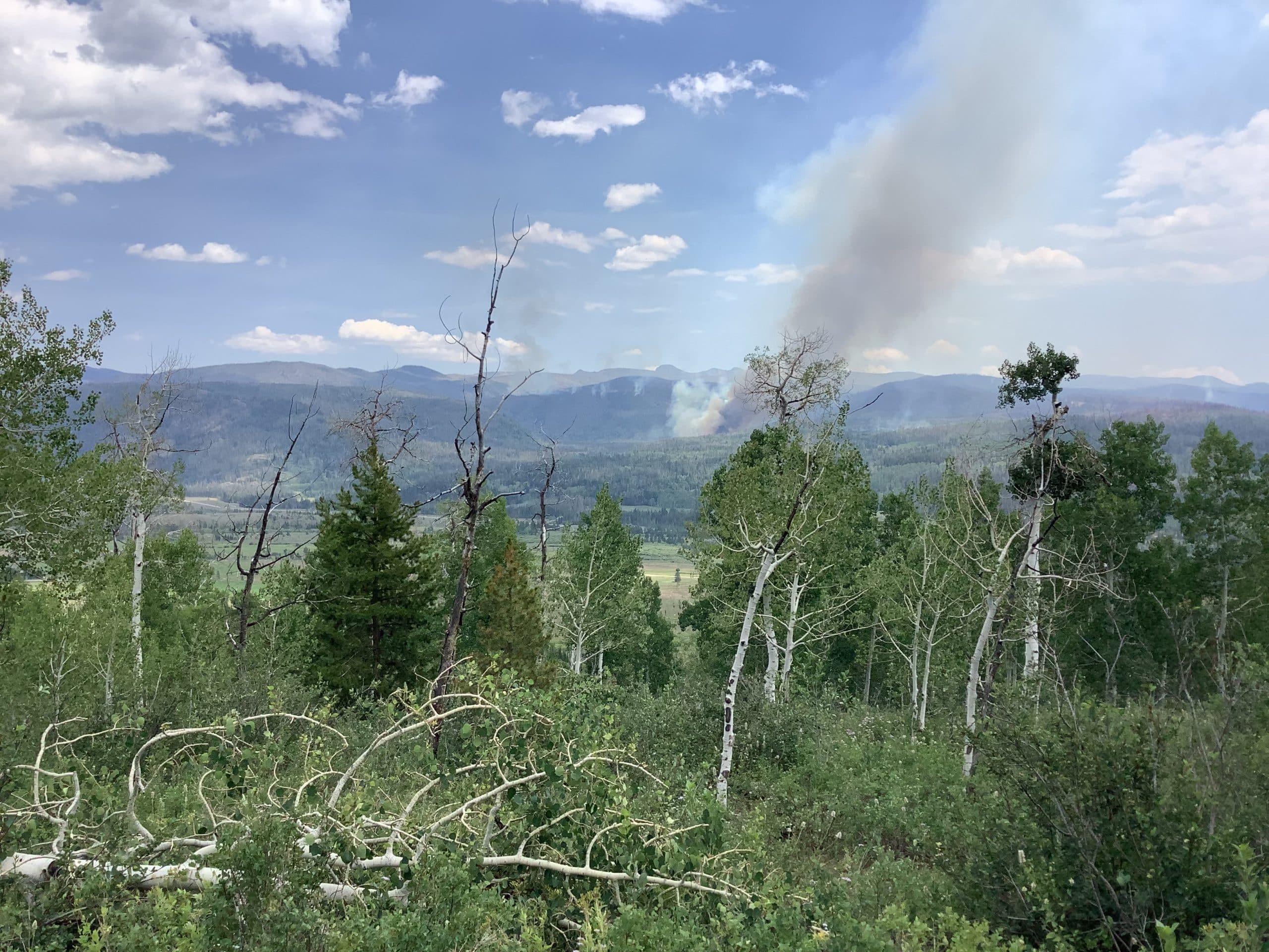 Morgan Creek Fire now over 5K acres; crew using strategic burns to ...