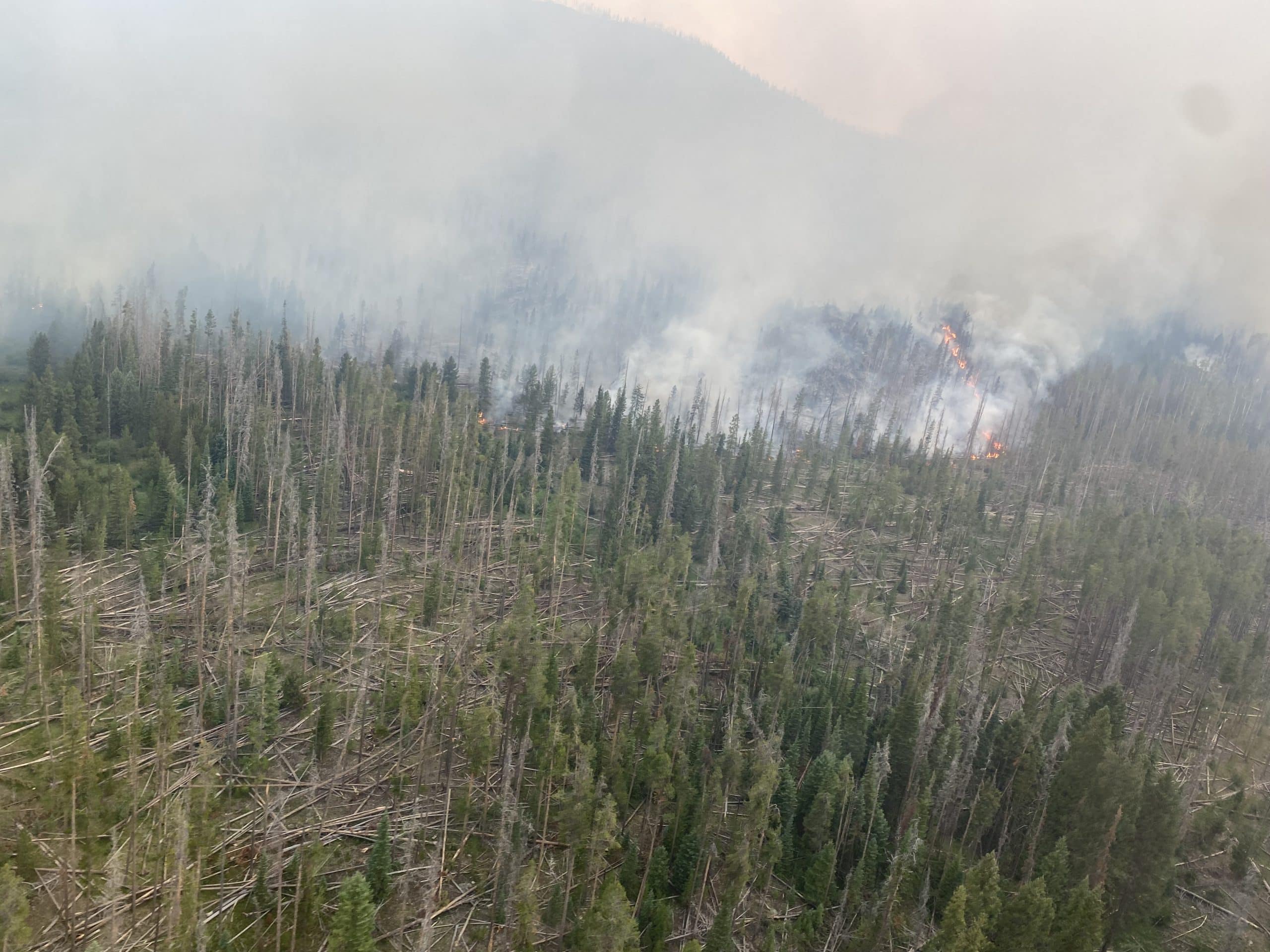 Morgan Creek Fire now over 5K acres; crew using strategic burns to ...