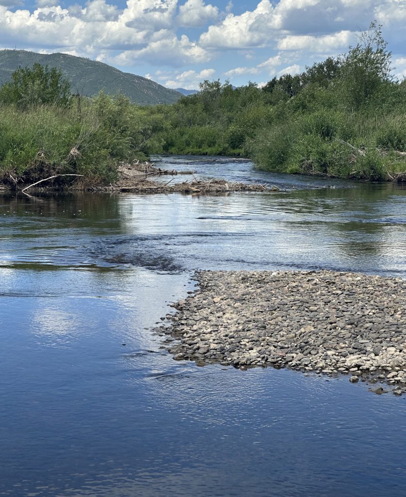 Tales from the Tread: Healthy rivers, healthy community ...