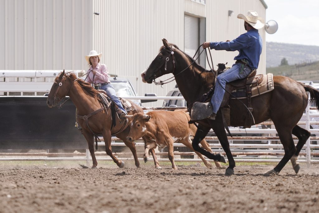 Photos: Ranch Rodeo at Routt County Fair | SteamboatToday.com