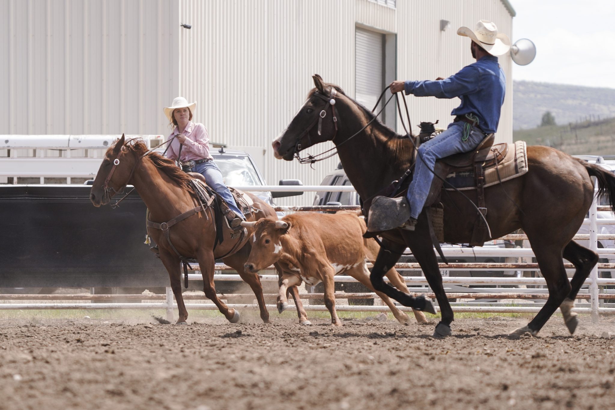 Photos: Ranch Rodeo at Routt County Fair | SteamboatToday.com