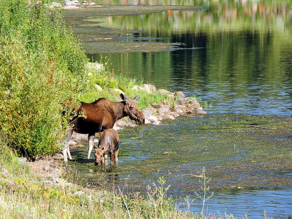 Share: Reader photos | SteamboatToday.com
