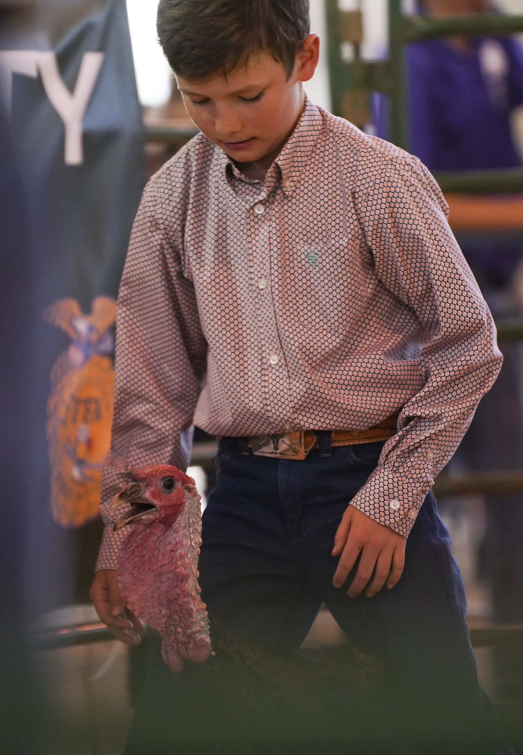 Photos: Sold on the Junior Livestock Sale at the Routt County Fair ...