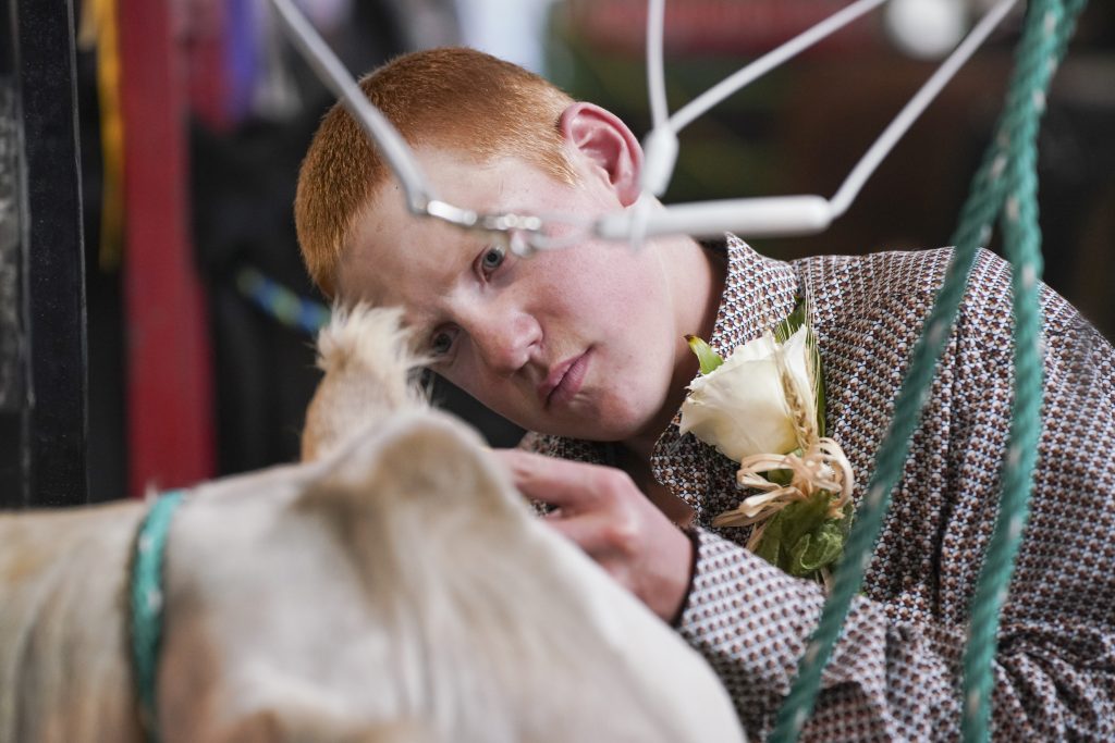 Photos: Sold on the Junior Livestock Sale at the Routt County Fair ...