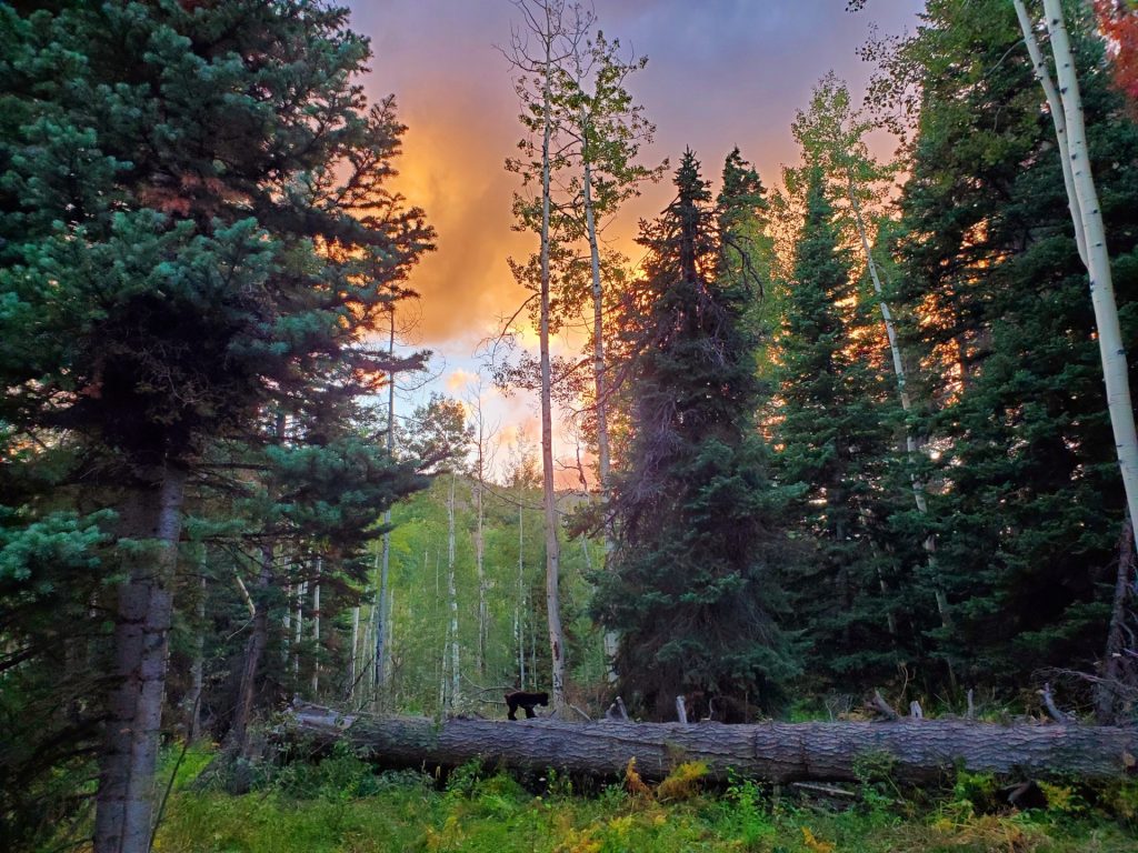 Share: Reader photos | SteamboatToday.com