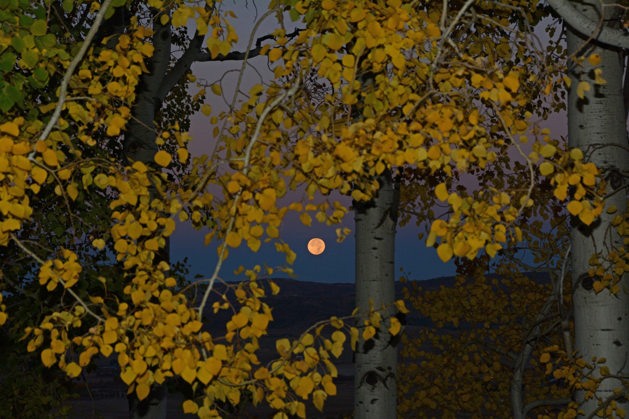 Captivating snaps: Our top reader photos of the week | SteamboatToday.com