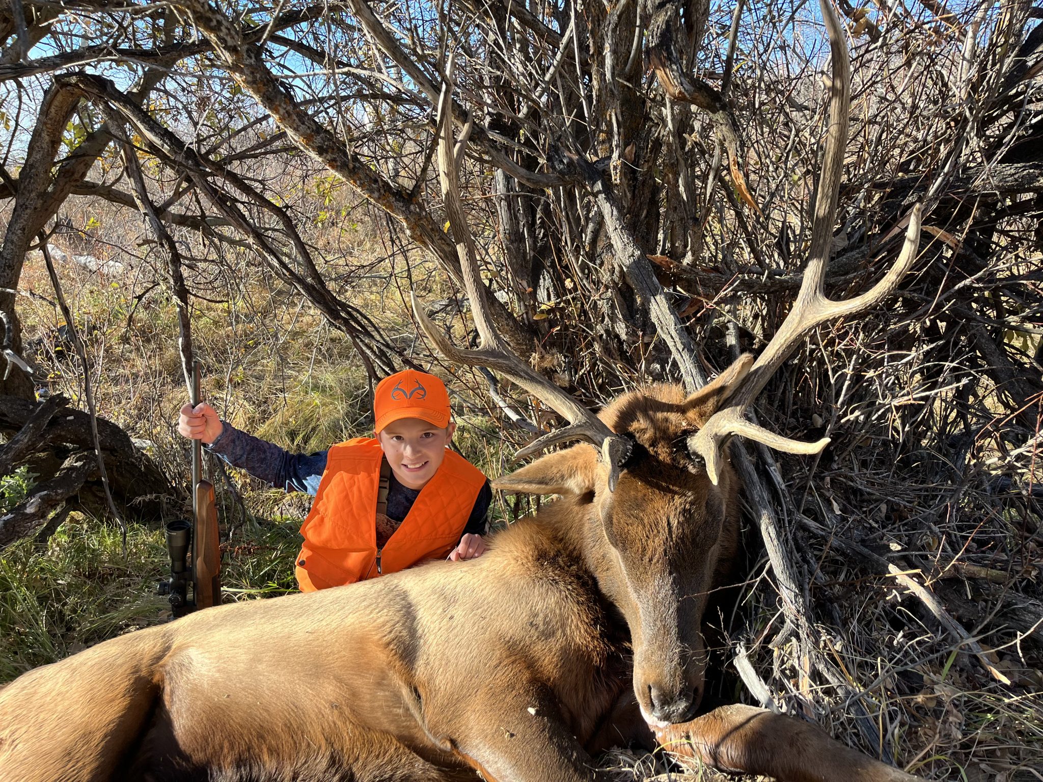 12-year-old hunter brings down five-point elk on second day of hunting ...