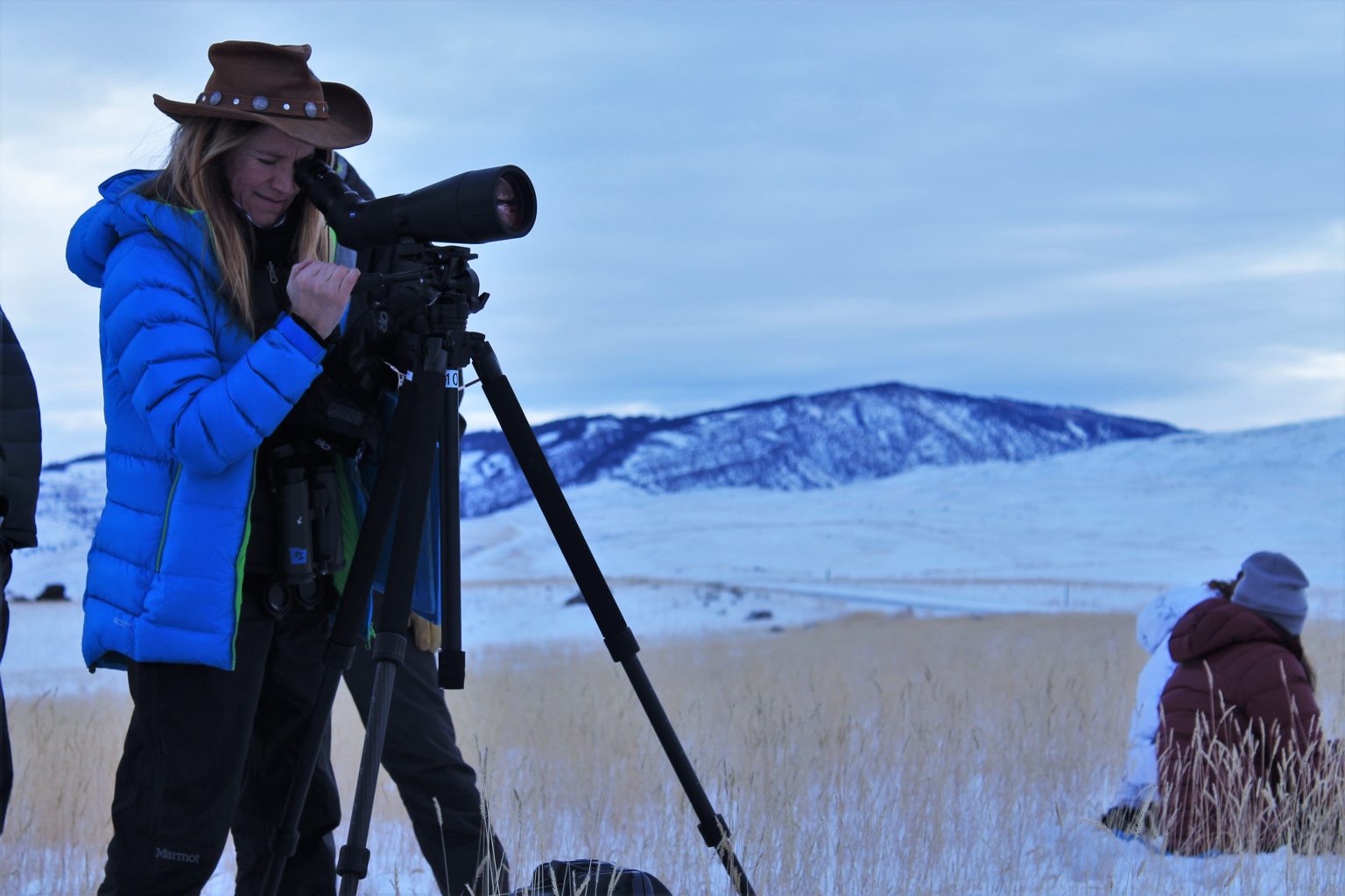 The science behind Colorado’s wolf reintroduction and why people are key to its success ...