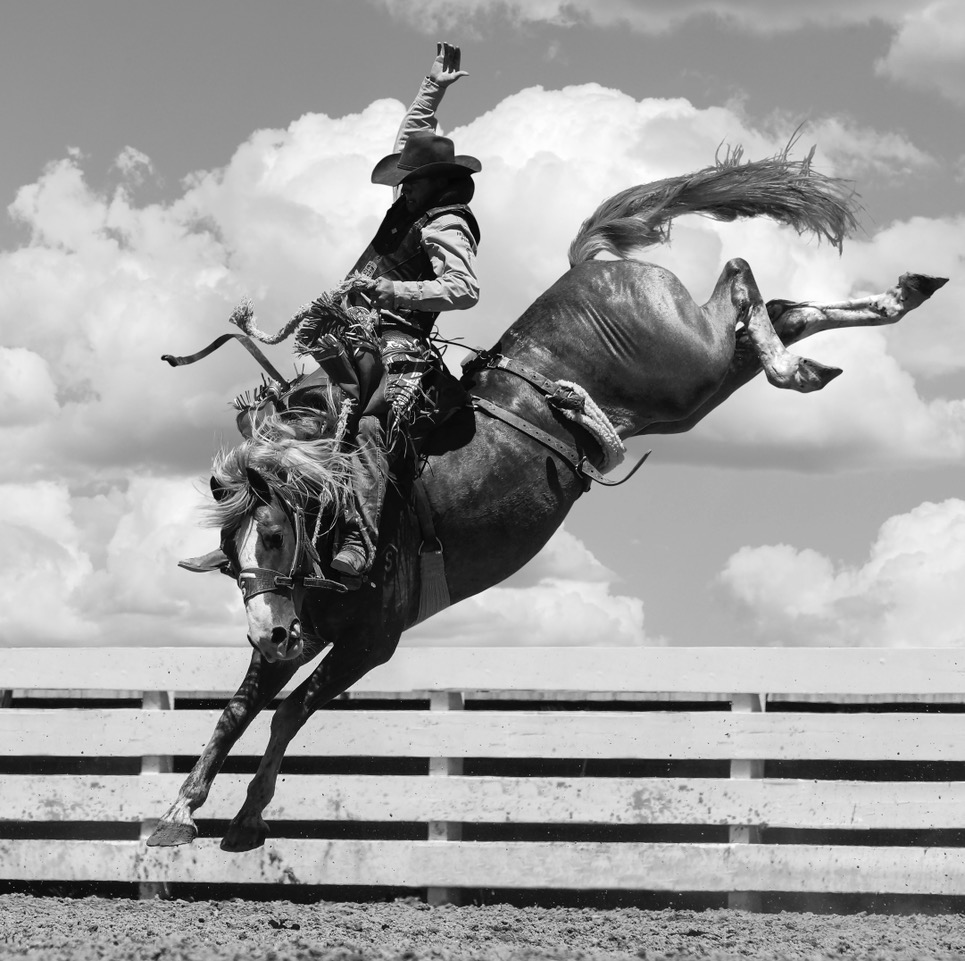 Soul of Steamboat highlighted in Jace Romick’s artwork at Range Food ...