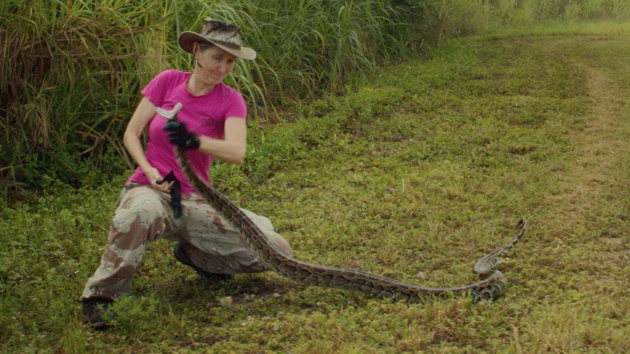 Free award-winning wildlife films Wednesday at library | SteamboatToday.com