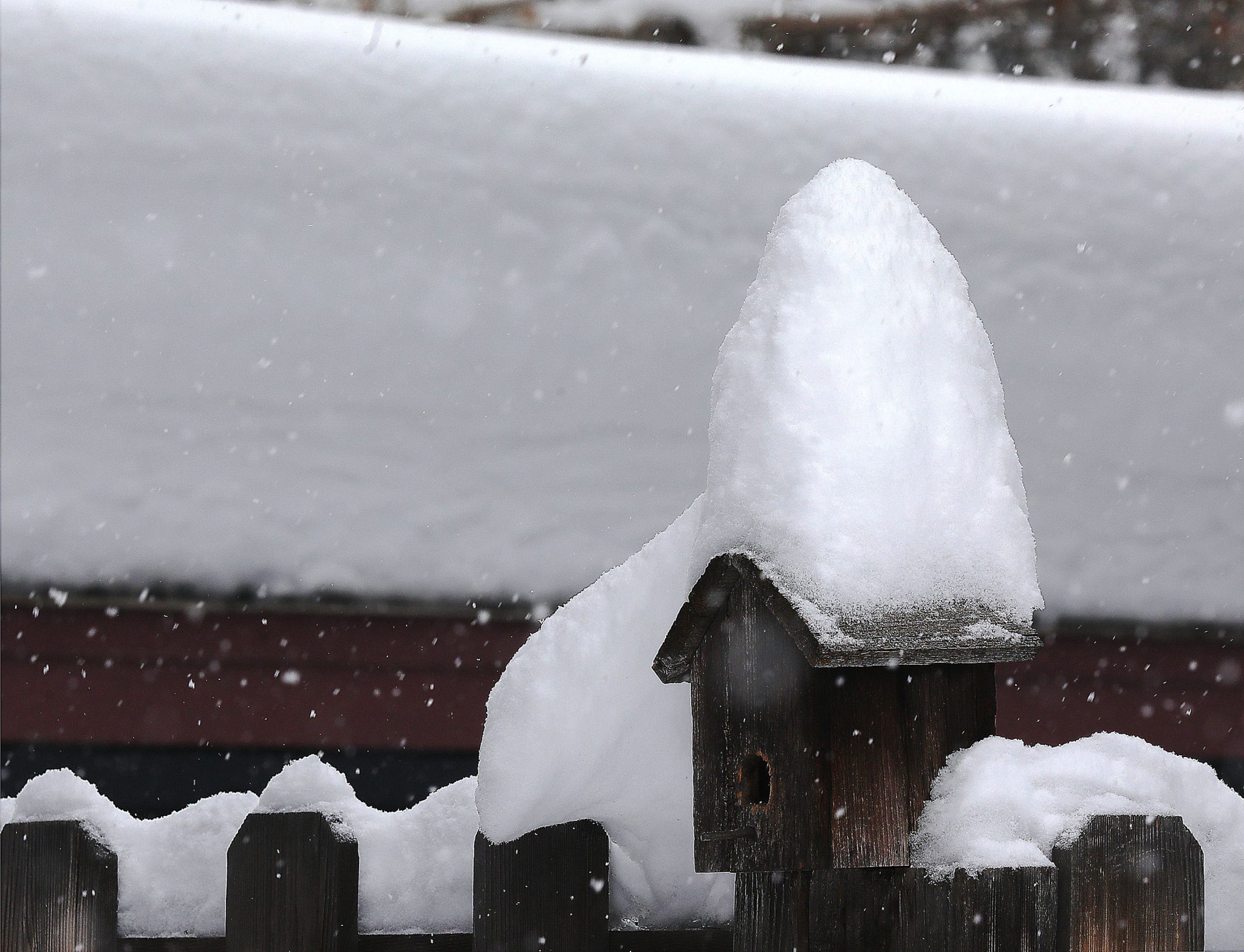 Photos: Winter’s wrath buries Steamboat Springs | SteamboatToday.com