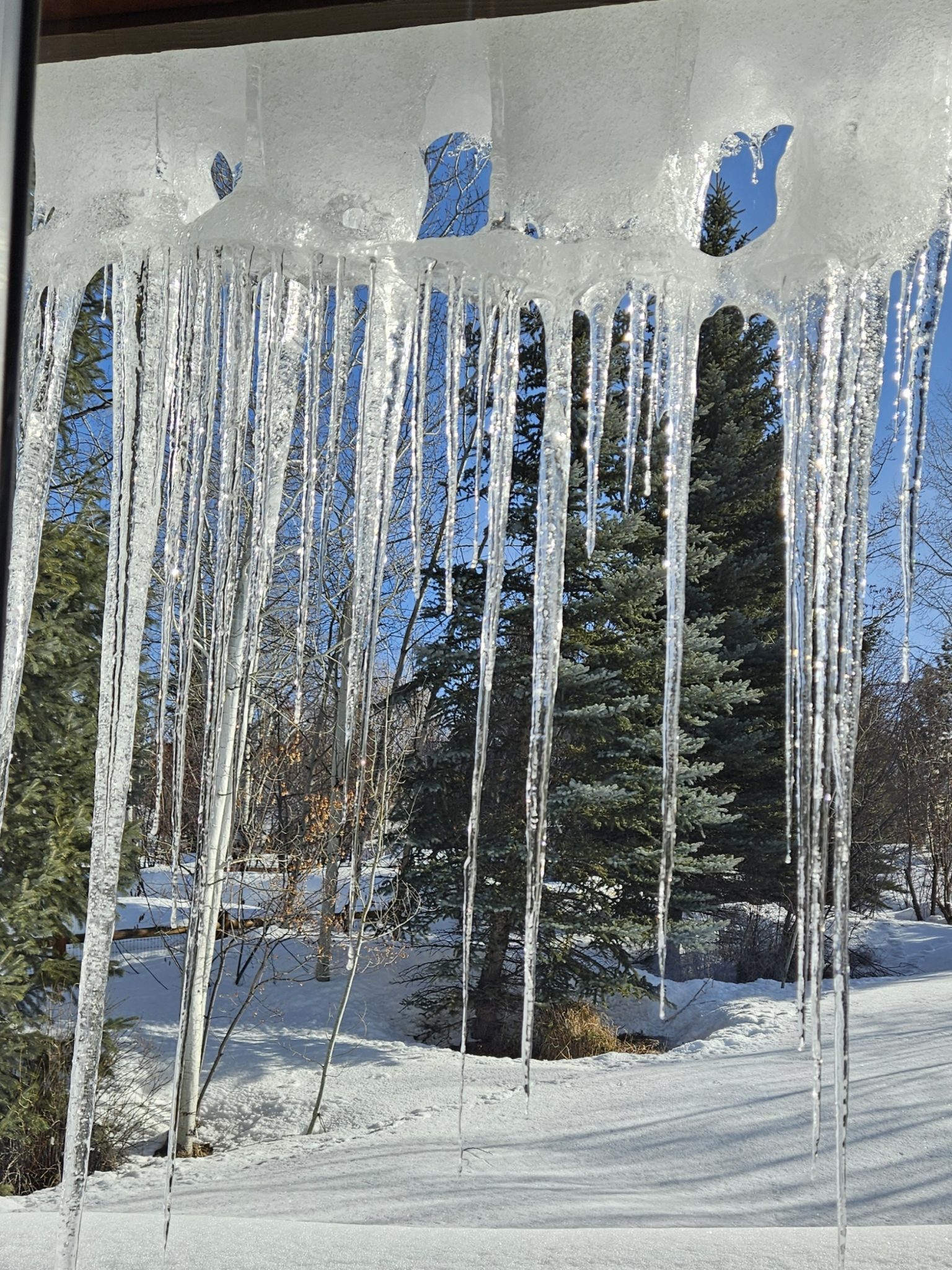 Share: Reader photos | SteamboatToday.com