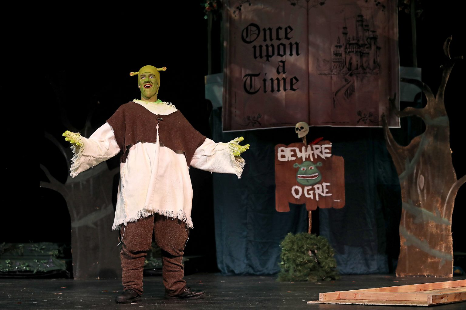 Fairy tales come to life as Sailors Drama Troupe brings ’Shrek the ...
