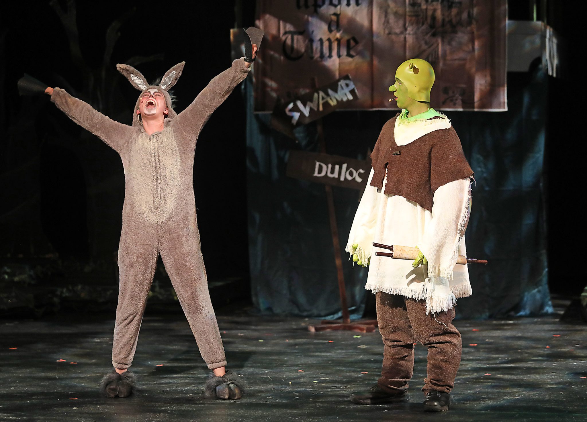 Fairy tales come to life as Sailors Drama Troupe brings ’Shrek the ...